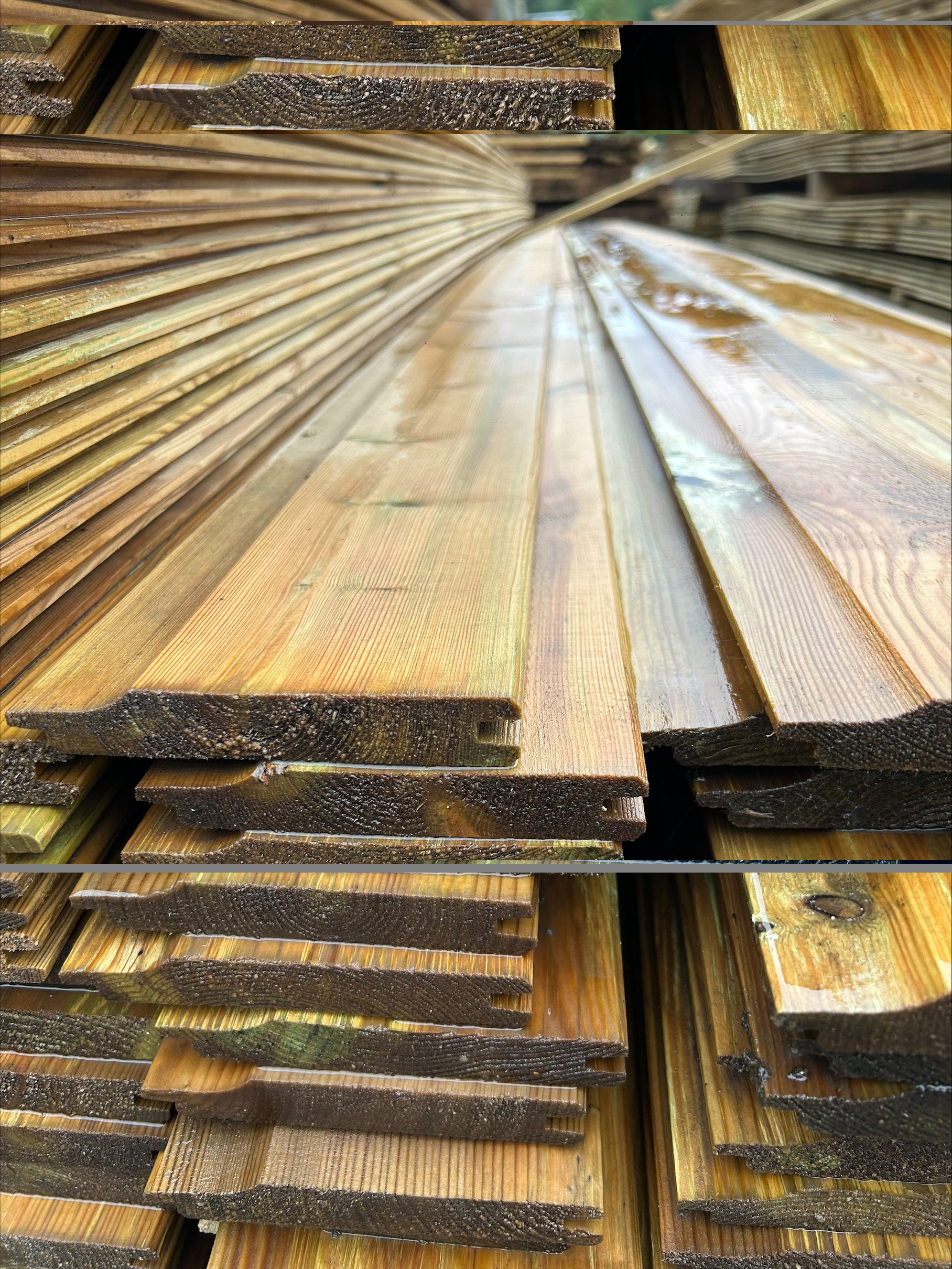 22x125x4800 Rebated Shiplap Treated (19mm Finish) – Philip Jones Timber ...