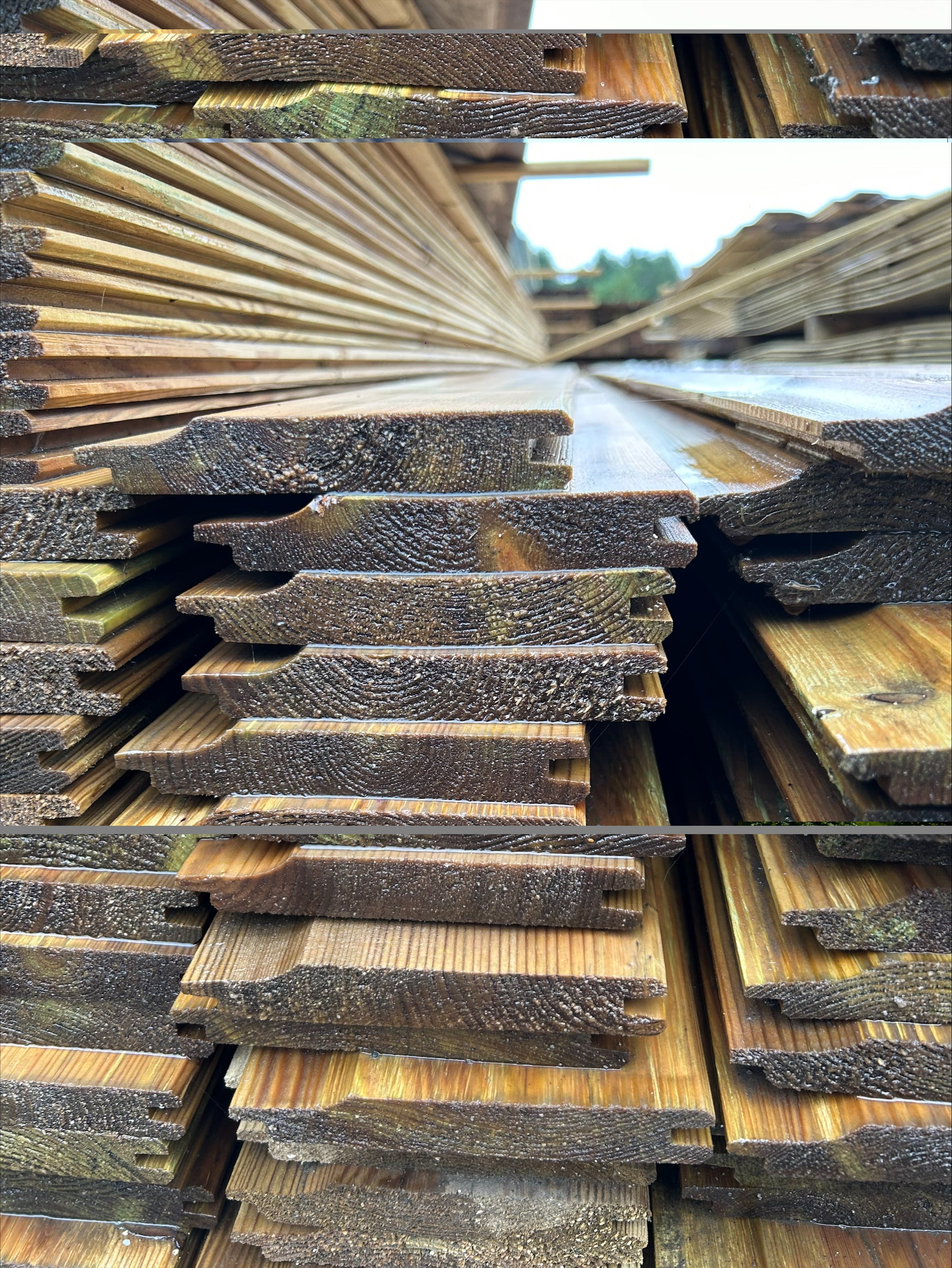 22x125x4800 Rebated Shiplap Treated (19mm Finish) – Philip Jones Timber ...